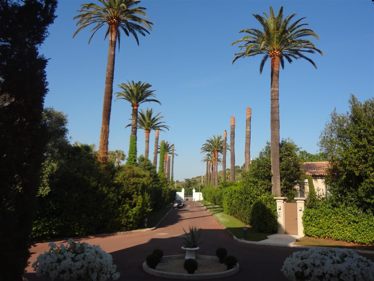 Cannes Film Festival & Monaco Grand Prix, 16-24 May – Wimmerspace